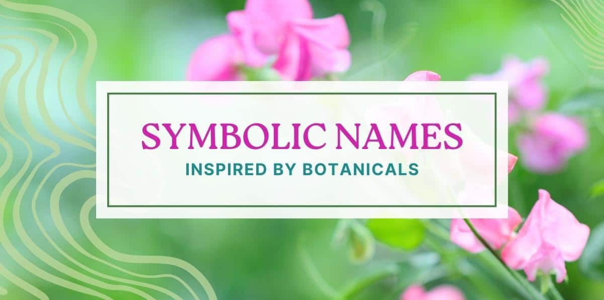 The Most Beautiful Symbolic Baby Names Inspired by Flora and Foliage ...